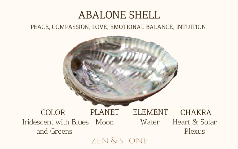 Abalone Shell – Meaning, Uses, & Healing Properties – Zen & Stone